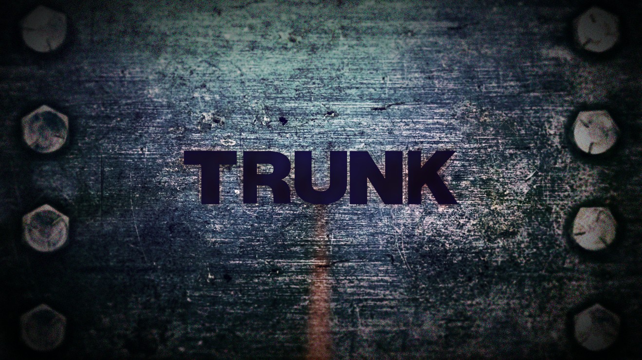 Trunk - Charles H. Joslain Portfolio